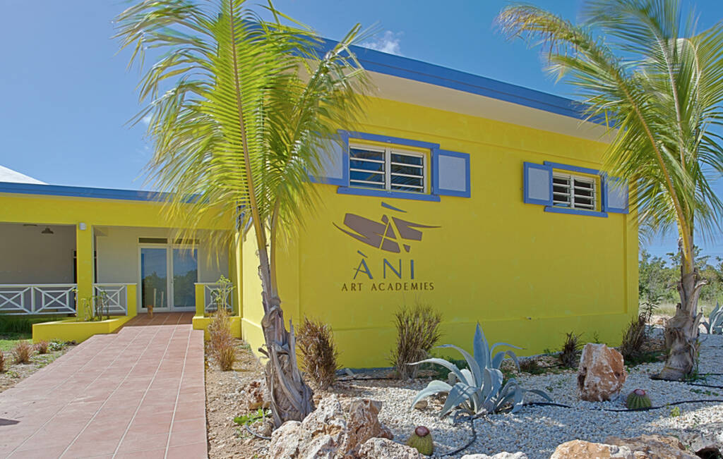 Home - ÀNI Art Academies